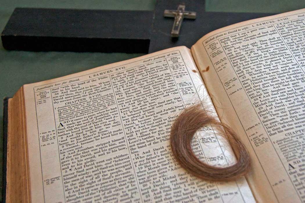 Boyle Family Bible - 1855 | 100objects